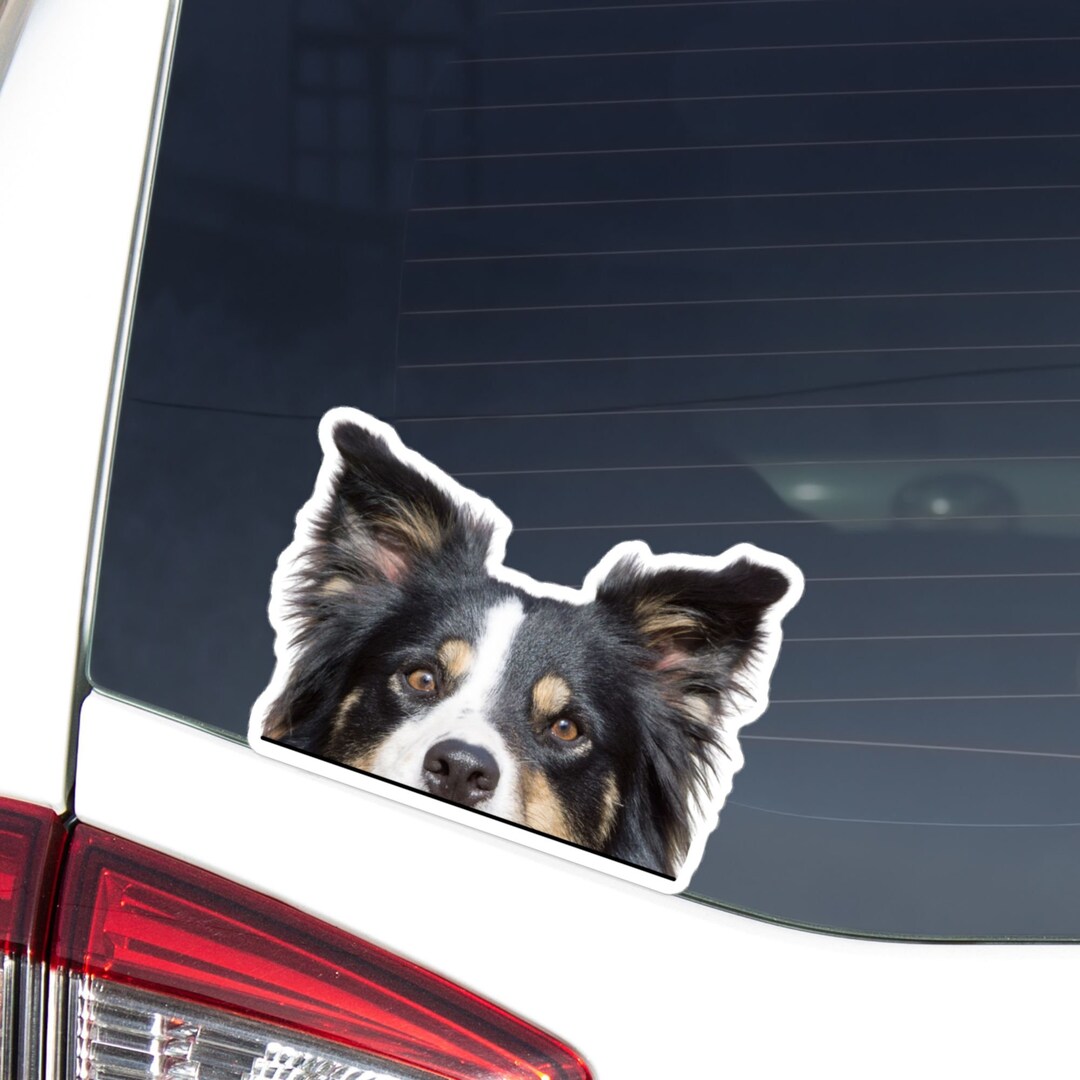 Border Collie Car Decal: Peeking Black Tan Tri-color Dog Waterproof ...