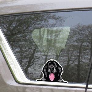 Peeking Newfoundland Car Decal Sticker / Realistic Black Dog Head Face ...