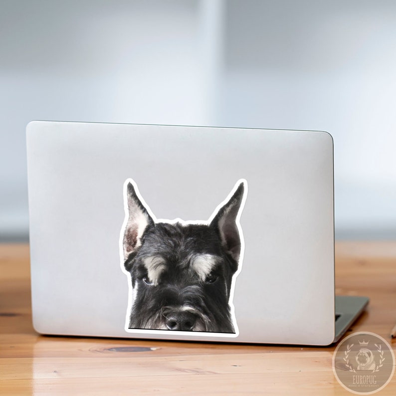 Giant Schnauzer Car Decal - Peeking Riesenschnauzer Cropped Ears Dog ...