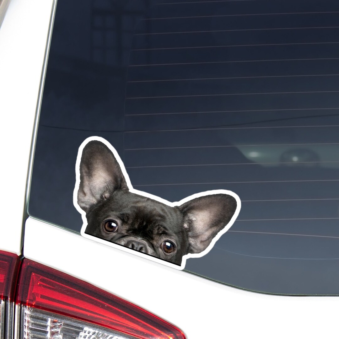 Black French Bulldog Car Decal Sticker / Peeking Realistic Frenchie Dog ...