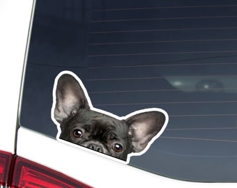Peeking French Bulldog Sticker Perfect for Car Windows Waterproof Black ...
