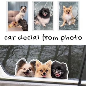 Custom Pet Sticker From Photo | Personalized Pet Car Decal | Dog Lover ...
