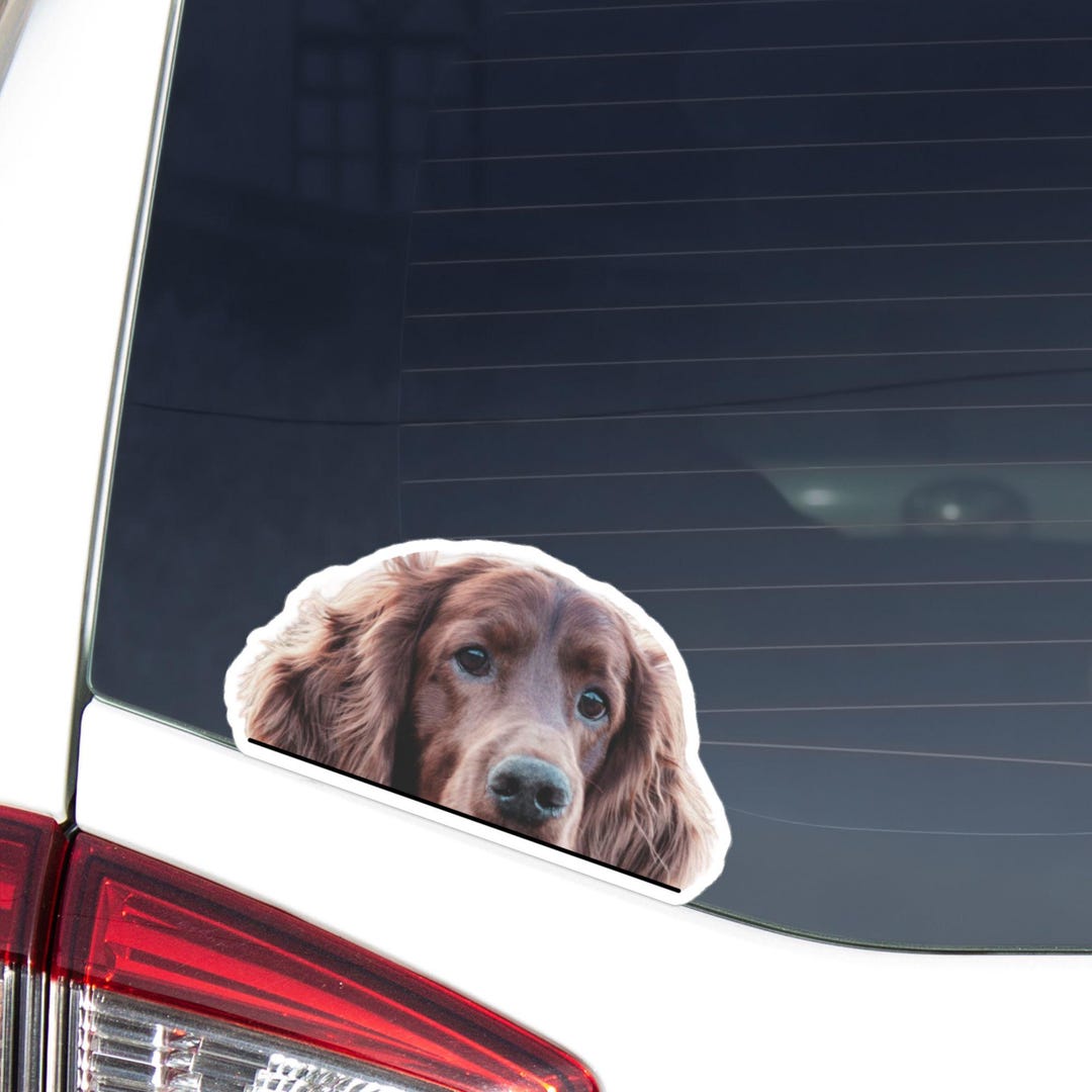 Chestnut Irish Setter Car Decal Sticker / Peeking Realistic Irish ...