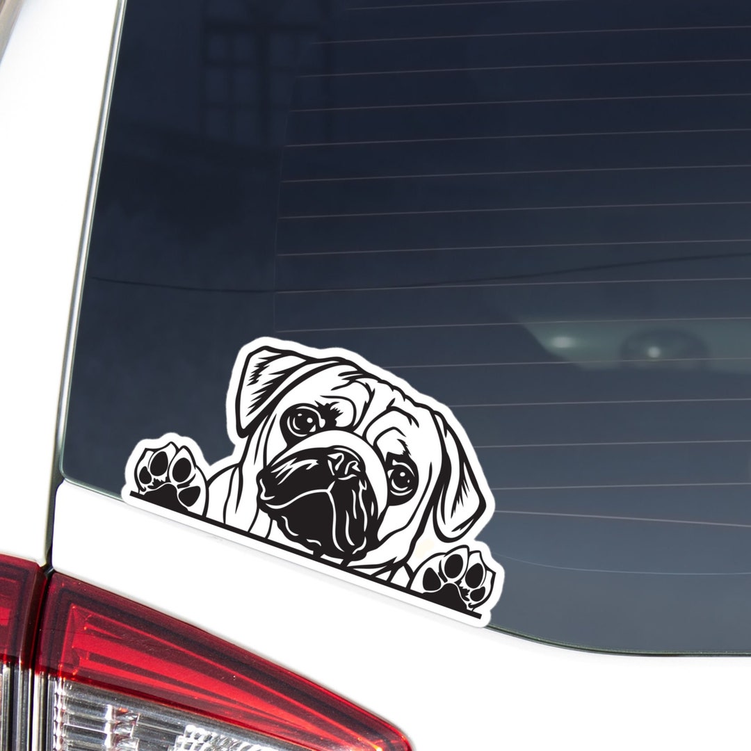 White Pug Head Car Decal Sticker / Peeping Looking Out Pug Dog / Bumper ...