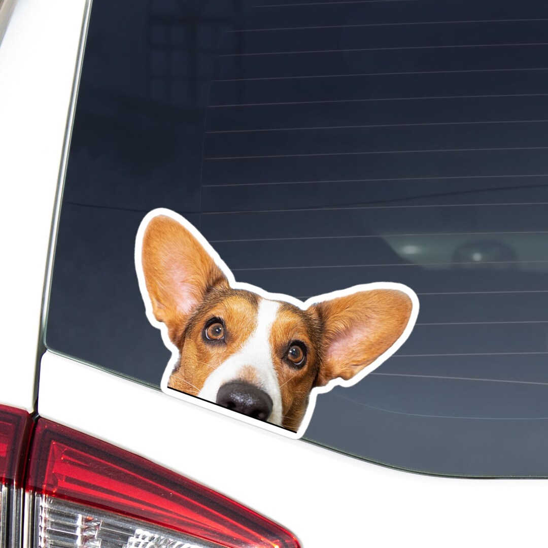 Sable Red Corgi Car Sticker Decal / Peeking Realistic Cardigan Welsh ...