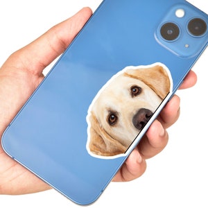 Cream Labrador Car Decal Sticker / Peeking Realistic Golden Dog Head ...