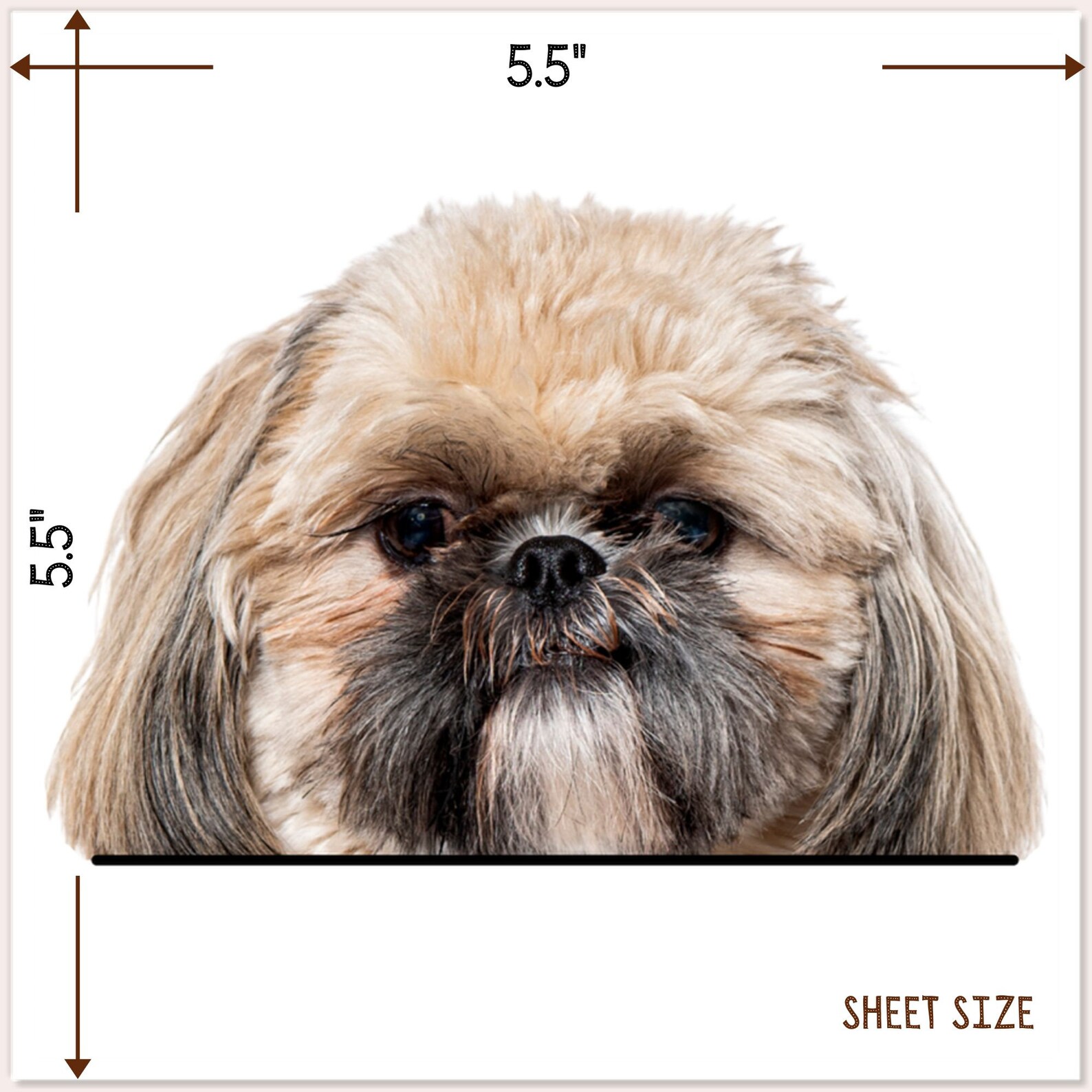 Blue&gold Shih Tzu Car Decal Sticker / Peeking Photo Shih Tzu Dog Head ...