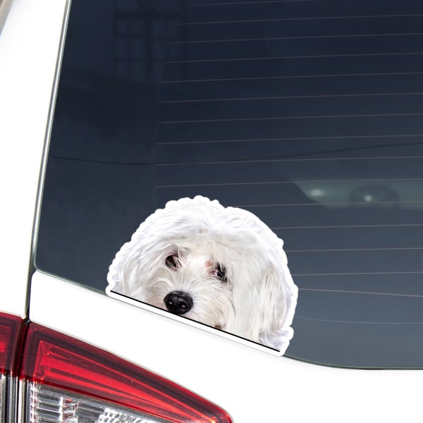 Maltese Decal - Etsy