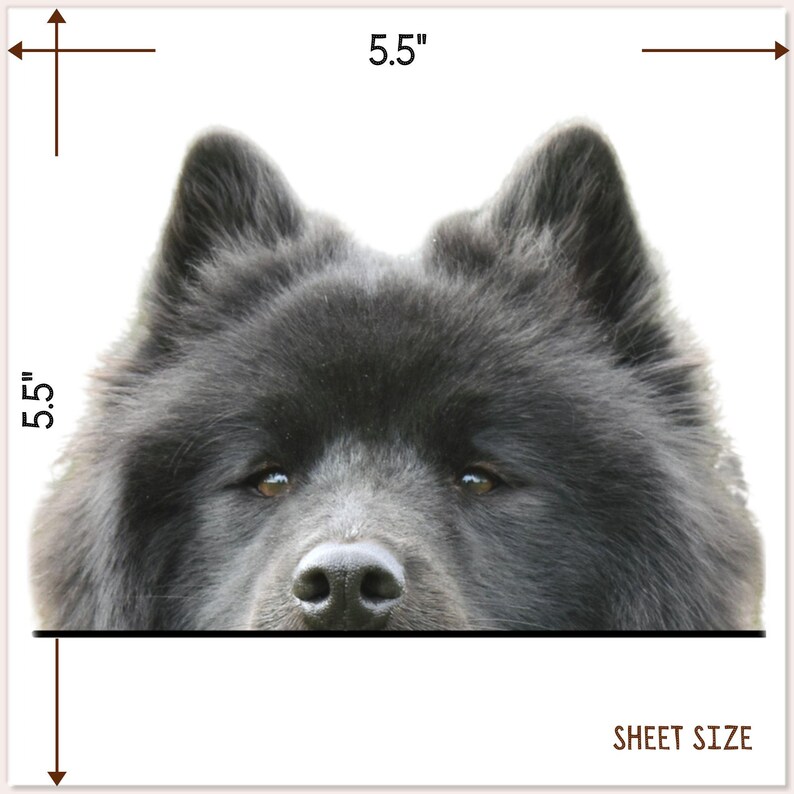 Eurasier Car Decal: Peeking Realistic Dog Face, Waterproof Vinyl ...