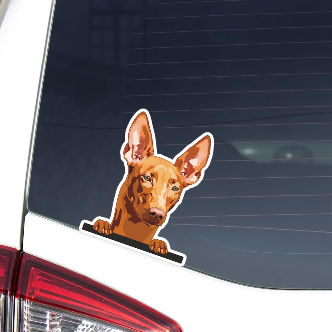 Pharaoh Hound Car Decal: Peeking Gold Dog Head, Waterproof Sticker - Etsy