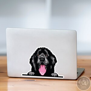 Peeking Newfoundland Car Decal Sticker / Realistic Black Dog Head Face ...