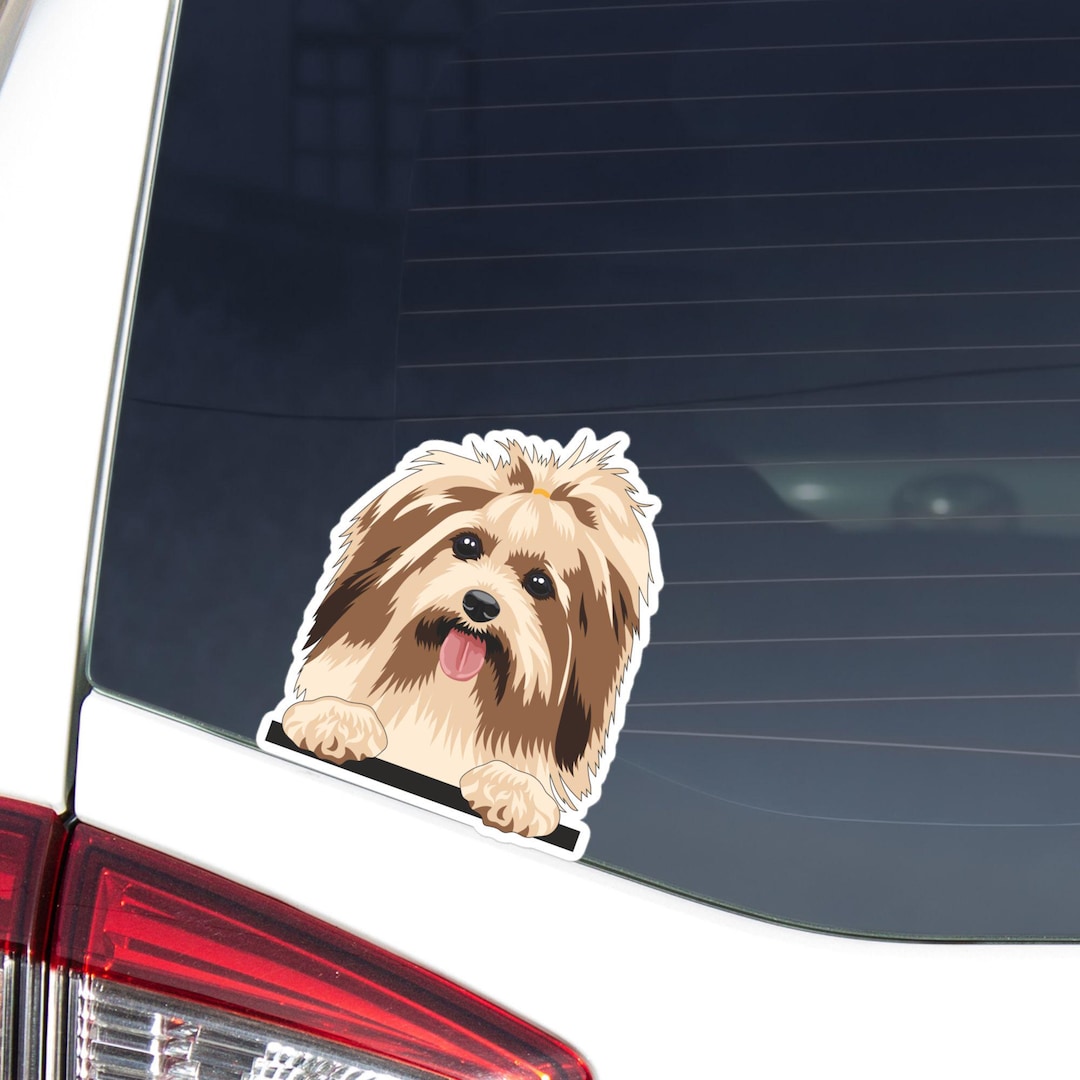 Havanese Car Decal Sticker / Peeking Cream Dog Head Face / Vinyl ...