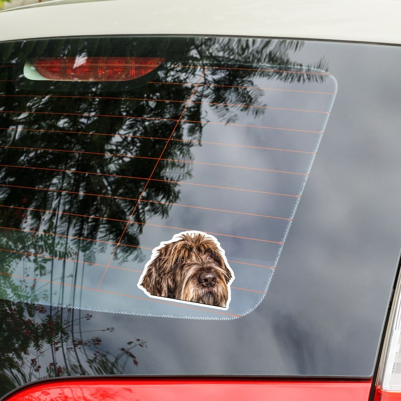 Korthals Griffon Car Decal: Peeking Brown Wirehaired Pointing Dog Vinyl ...