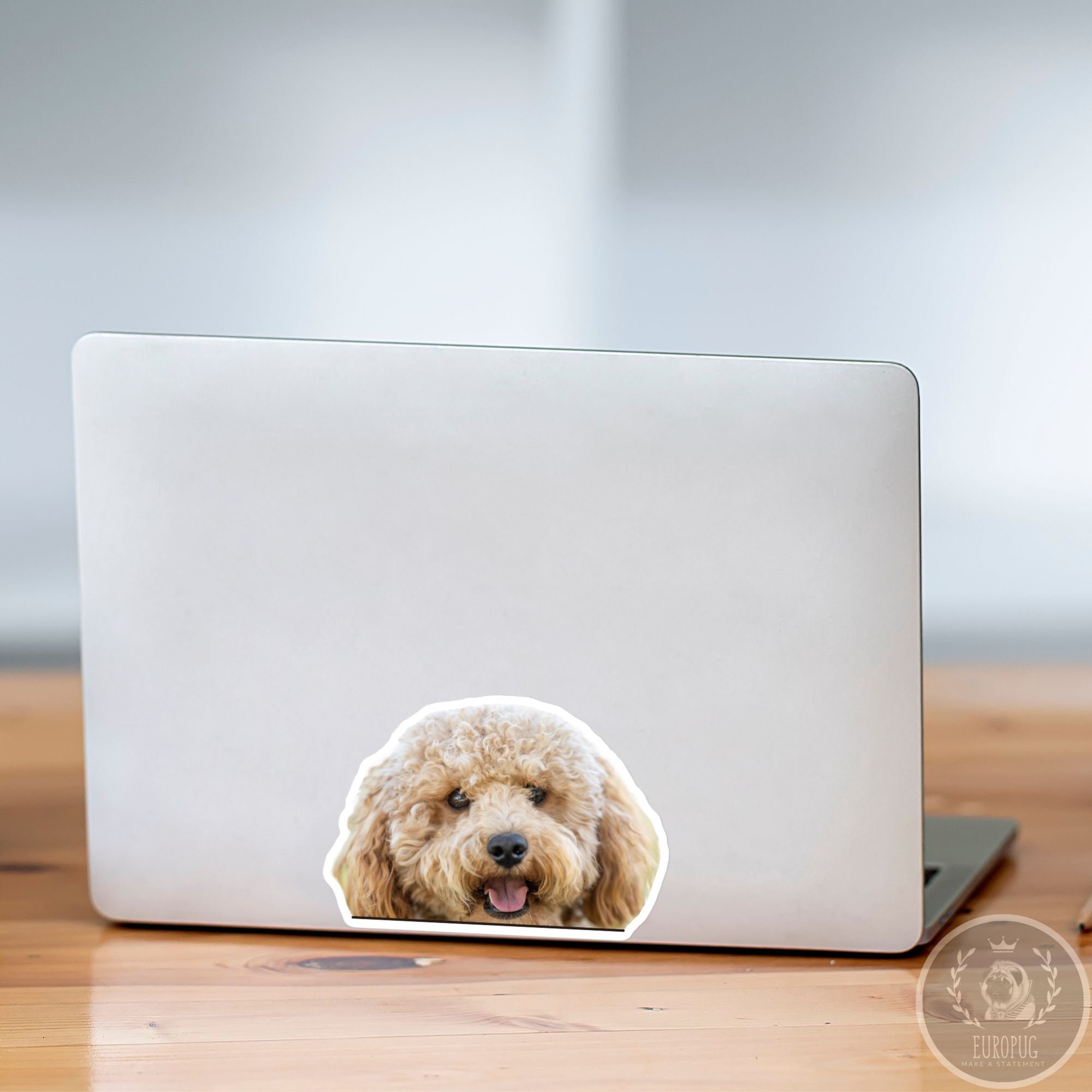 Cream Cavapoo Car Decal Sticker / Peeking Photo Cavapoo Dog - Etsy