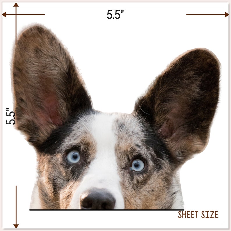 Blue Merle Corgi Car Decal - Peeking Cardigan Dog Waterproof Vinyl ...