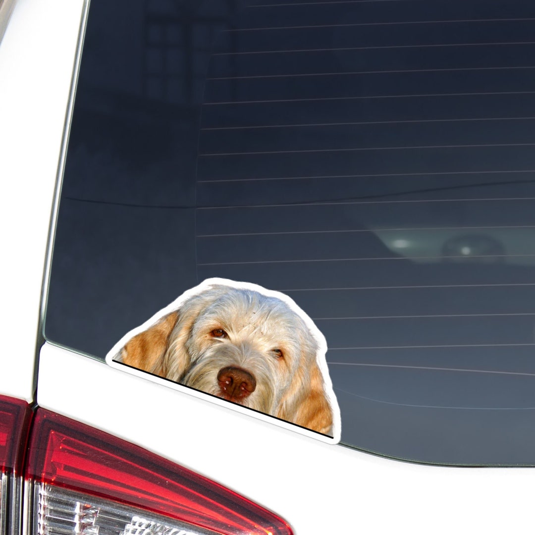 Spinone Italiano Car Decal: Peeking White Roan Dog, Waterproof Sticker ...