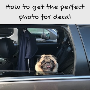 Custom Pet Sticker From Photo | Personalized Pet Car Decal | Dog Lover ...