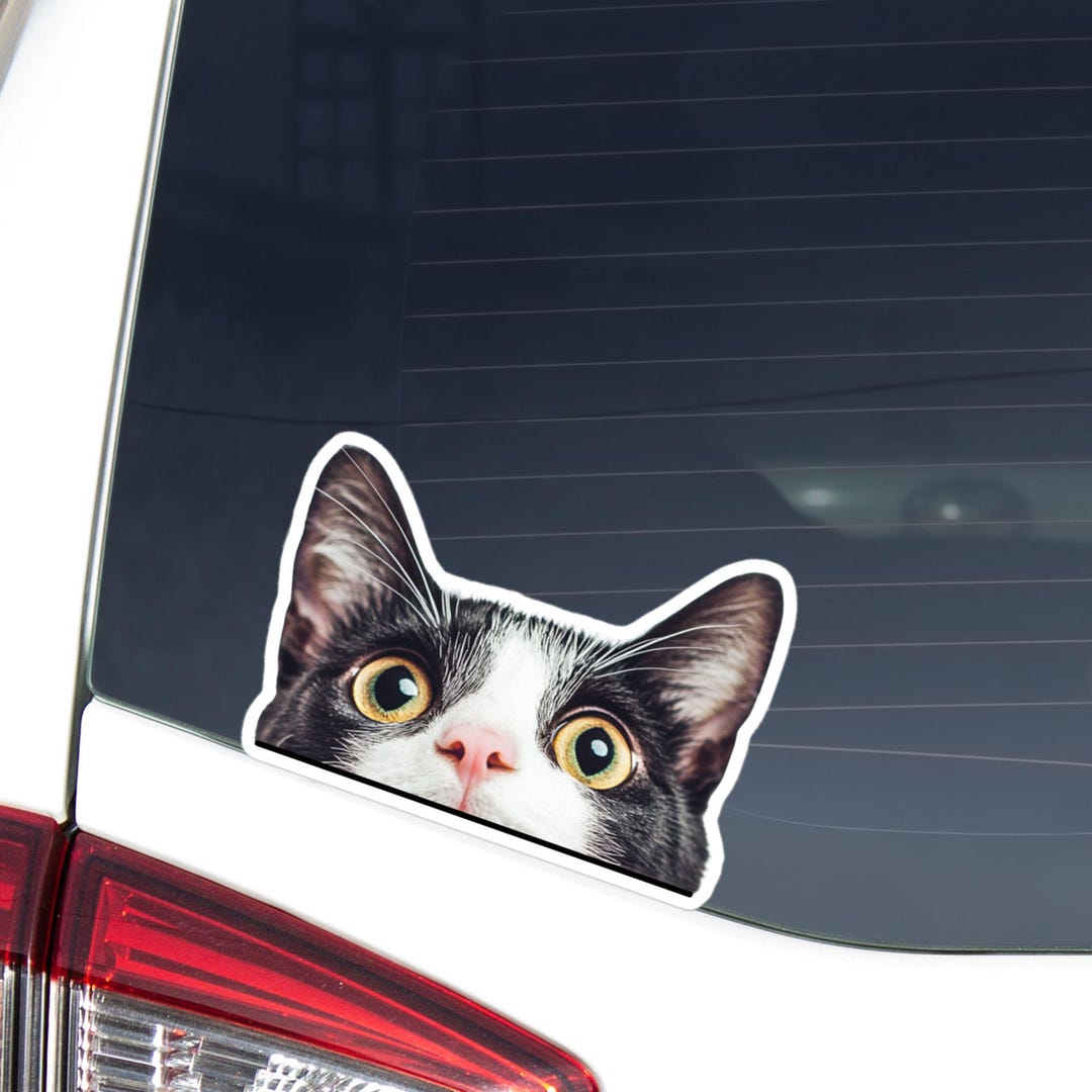 Scared Cat Car Decal Sticker / Realistic Peeking Bicolor Black White ...