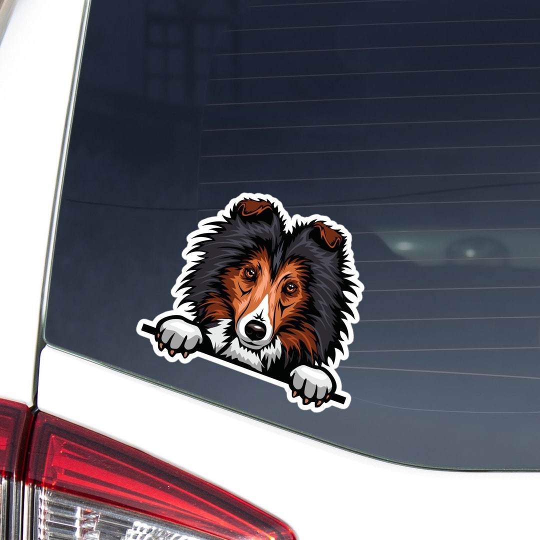 Tricolor Shetland Sheepdog Car Decal Sticker / Peeking Sheltie Dog Paws ...