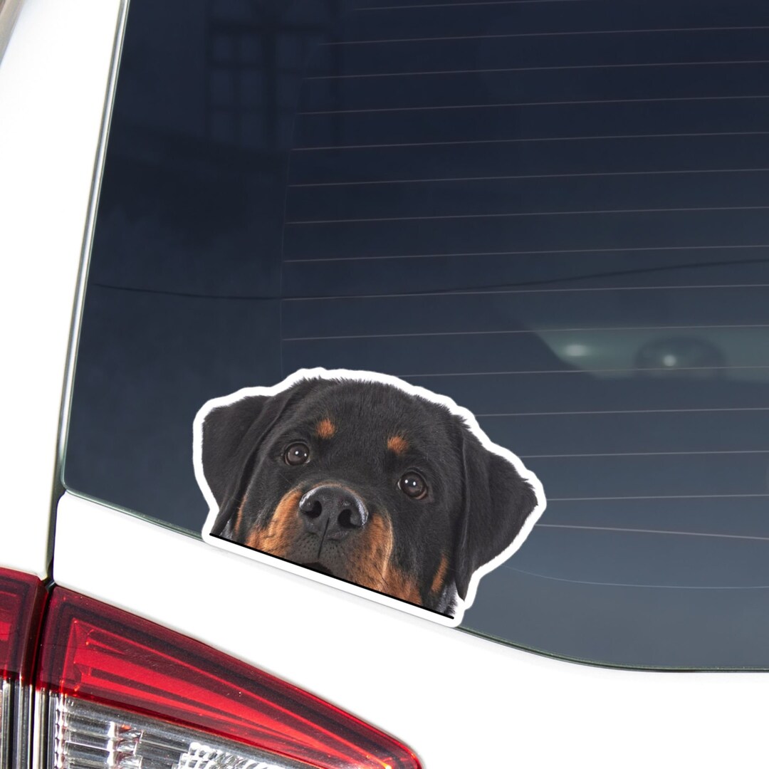 Peeking Rottweiler Car Decal Sticker / Realistic Rottie Face Head ...