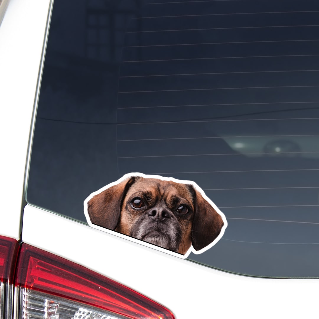 Peeking Red Puggle Car Decal Sticker / Realistic Puggle Dog Head ...