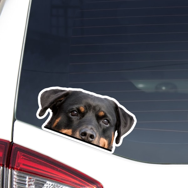 Rottweiler Decal - Etsy