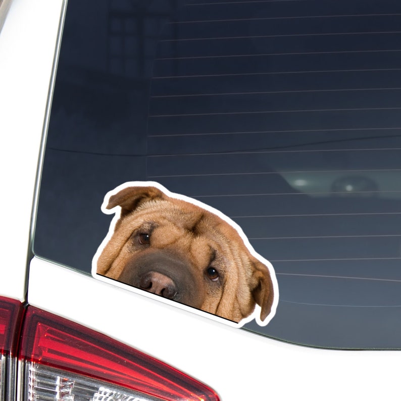 Red Shar Pei Car Decal: Peeking Dog Head Waterproof Sticker - Etsy