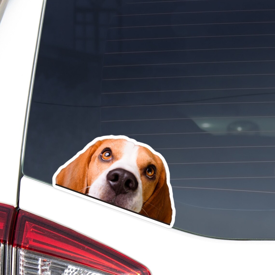 Peeking Beagle Car Decal: Realistic Dog Face, Waterproof Vinyl Sticker ...