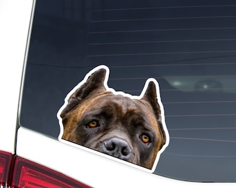 Cane Corso Sticker Chibi Puppy Dog Vinyl Hand Drawn - Etsy