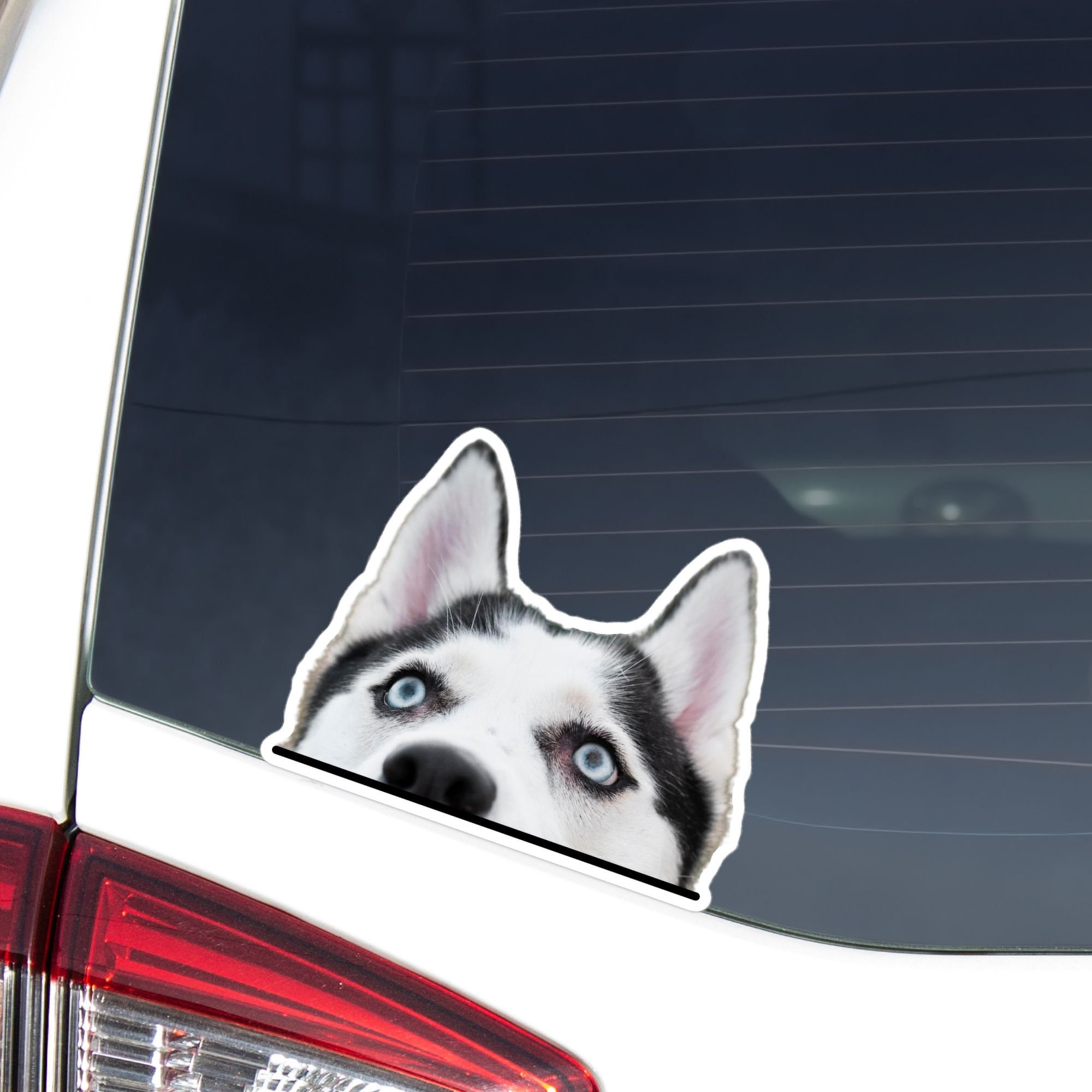 Realistic Black Husky Sticker Decal / Peeking Siberian Husky - Etsy
