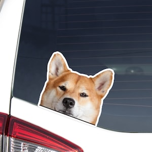 Peeking Red Shiba Inu Car Decal Sticker / Realistic Shiba Inu Dog Head ...