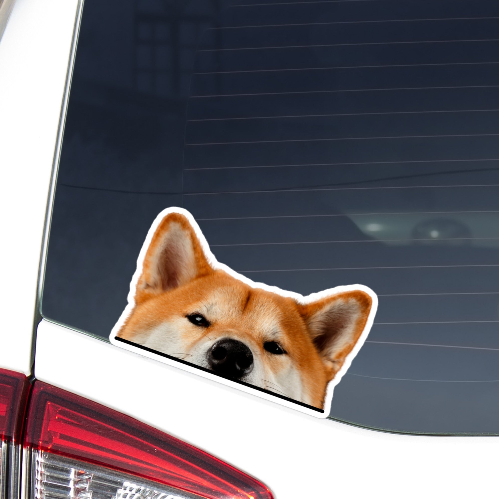 Peeking Red Shiba Inu Car Decal Sticker / Realistic Shiba Inu | Etsy