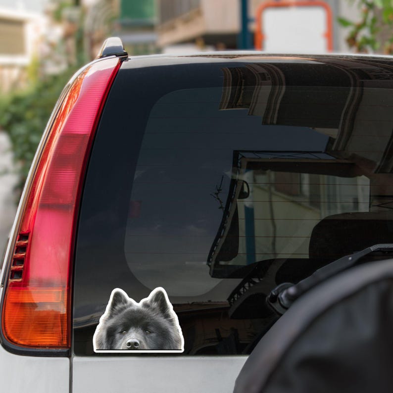 Eurasier Car Decal: Peeking Realistic Dog Face, Waterproof Vinyl ...