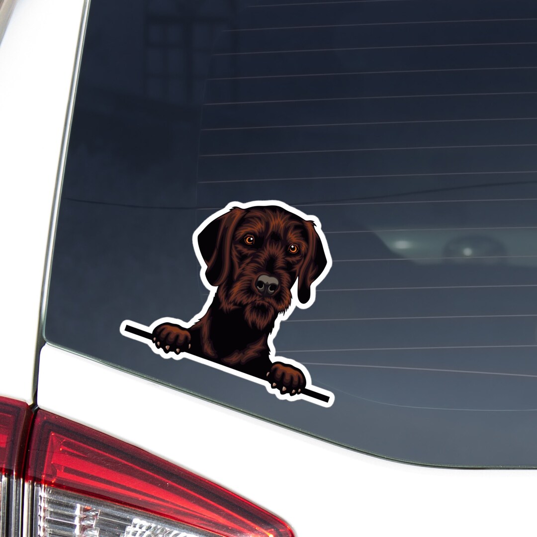 Brown Pudelpointer Car Decal Sticker / Peeking Realistic Pudelpointer Dog Head / Vinyl ...