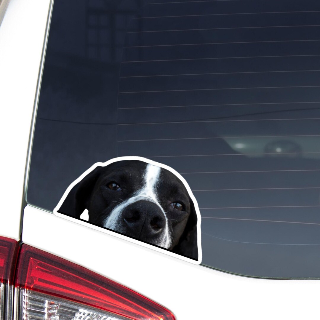 German Shorthaired Pointer Car Decal: Peeking Black & White GSP Dog ...
