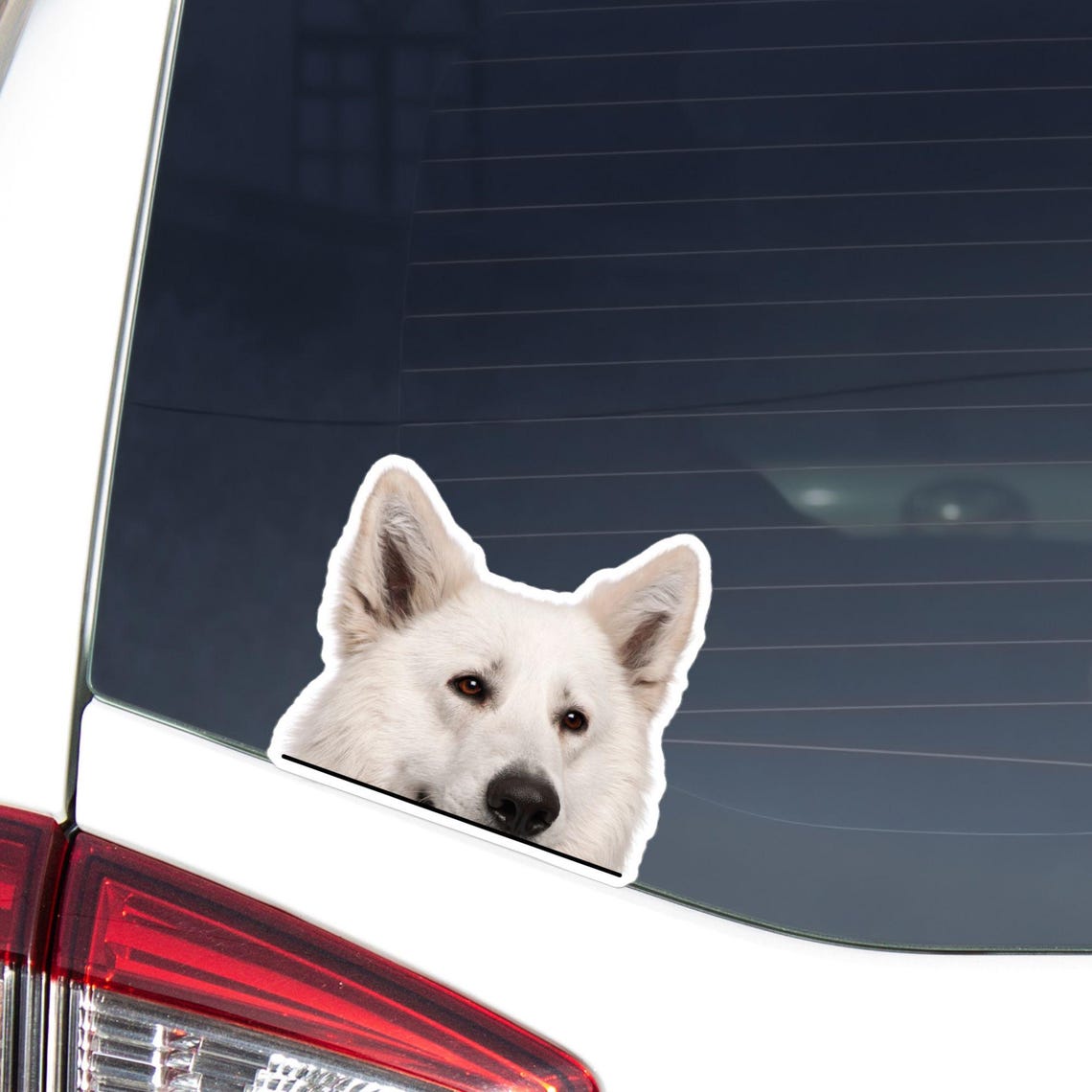 Berger Blanc Suisse Car Decal Sticker / Peeking Realistic White Dog ...