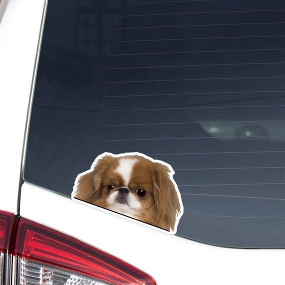 Peeking Japanese Chin Car Decal Sticker / Realistic Red White - Etsy