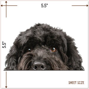 Peeking Cockapoo Car Decal Sticker / Realistic Black Cockapoo Dog Head ...