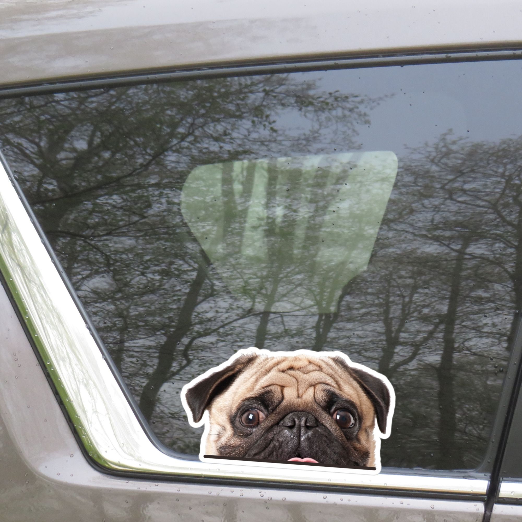 Peeking Pug Car Decal Sticker / Looking Out Pug Bumper Window Laptop ...