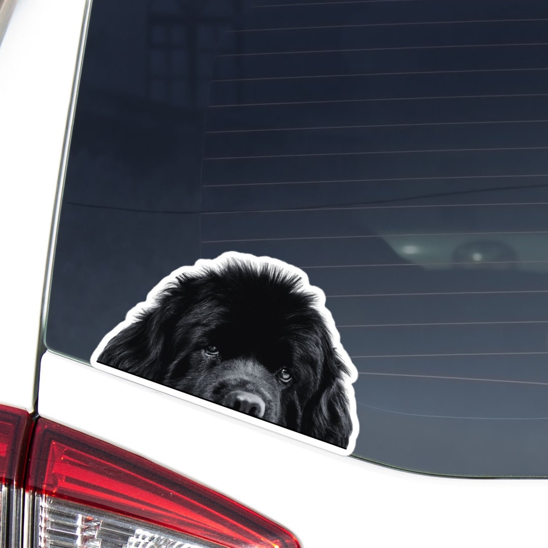 Peeker Newfoundland Car Decal Sticker / Realistic Black Dog Head ...