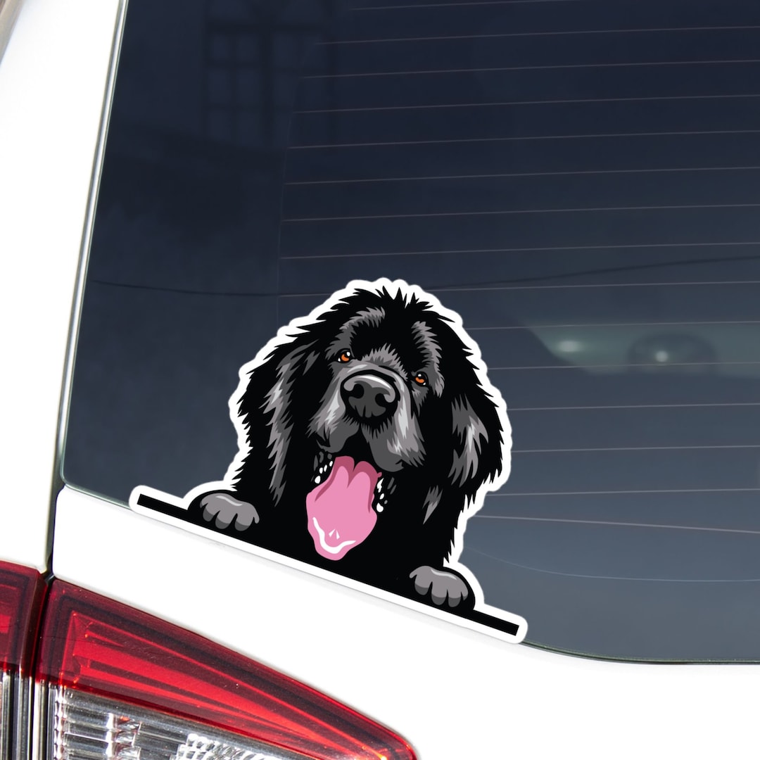 Peeking Newfoundland Car Decal Sticker / Realistic Black Dog Head Face ...