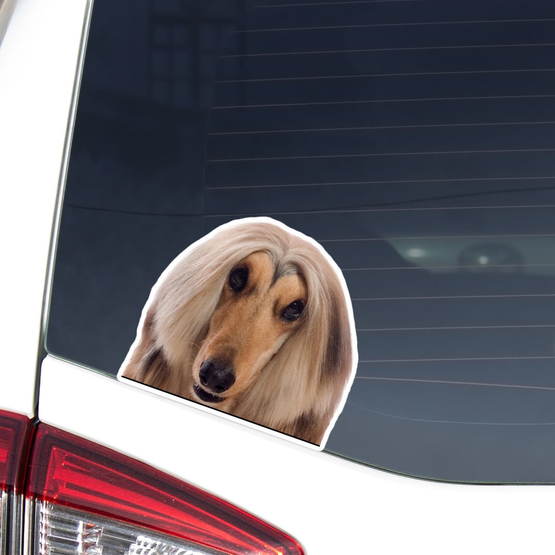 Afghan Hound Car Decal Sticker / Peeking Realistic Afghan Hound Dog ...