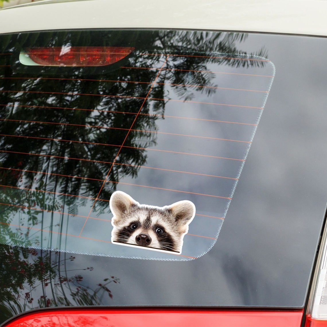 Peeking Raccoon Car Sticker Decal / Funny Raccoon Head Face - Etsy