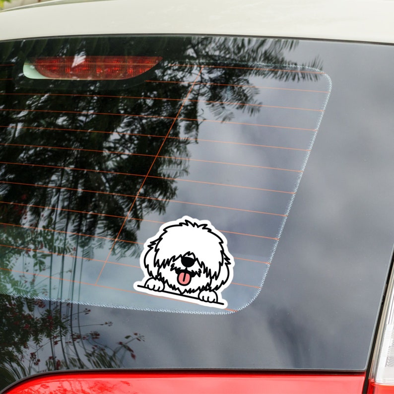 Coton De Tulear Car Decal - Peeking Cotie Dog Head Sticker - Etsy
