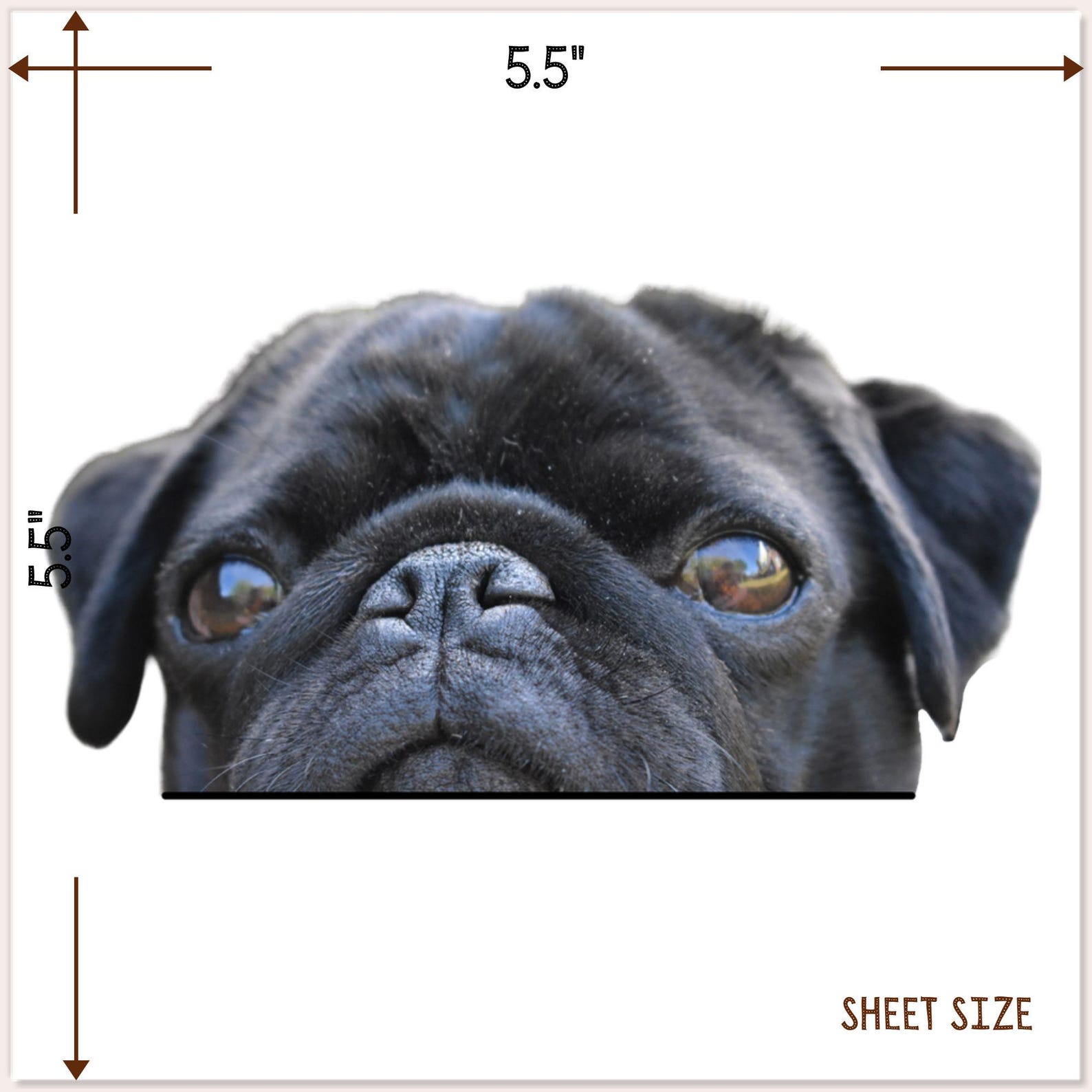 Black Pug Car Decal Sticker / Peeking Realistic Pug Dog Head Face ...