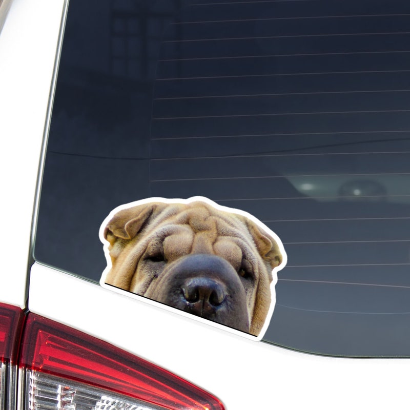 Sharpei Decal - Etsy