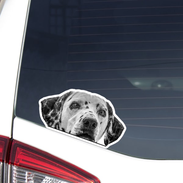 Dalmatian Car Decal - Etsy