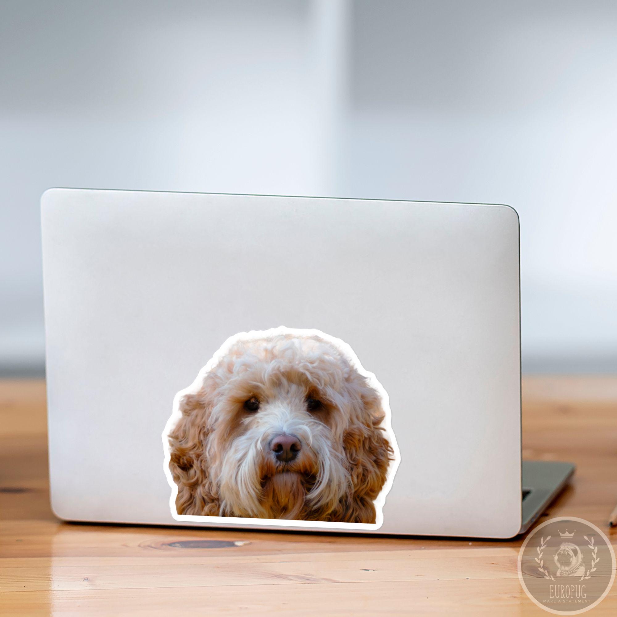 Cockapoo Car Decal: Peeking White Sable Dog Waterproof Vinyl Sticker - Etsy