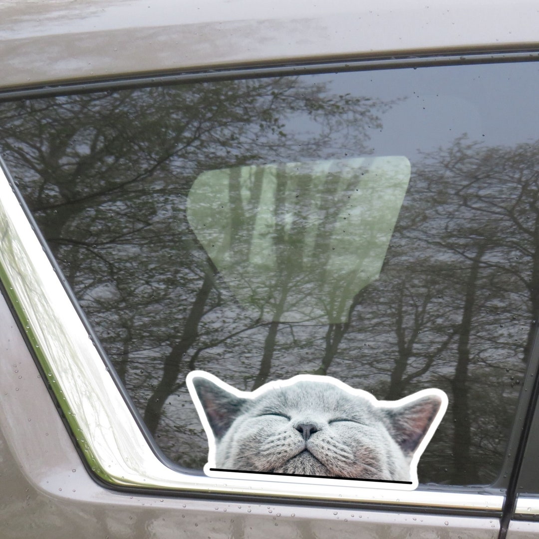 Peeking Cat Car Sticker Decal / Gray Kitten Looking Out Car Window ...