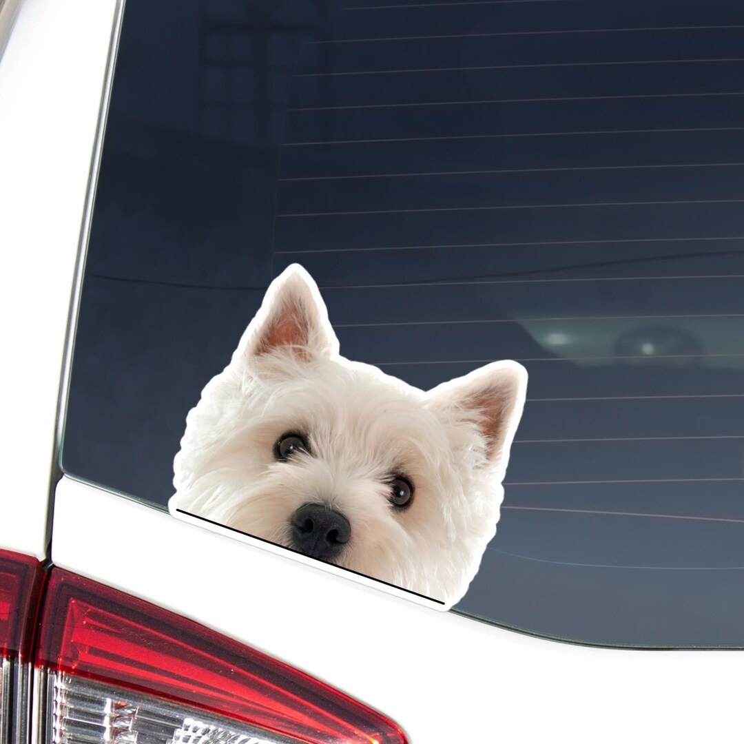 West Highland Terrier Car Decal, Peeking Westie Dog Sticker - Etsy